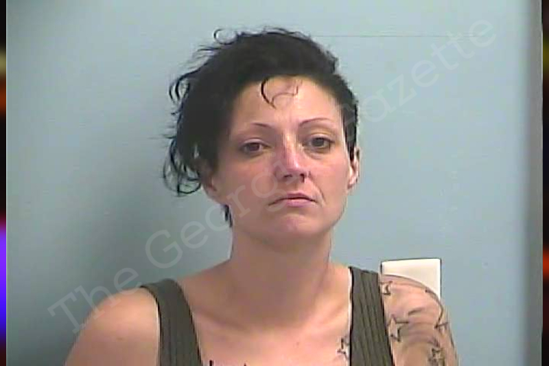 Heather Cleveland — Dawson County Jail Bookings