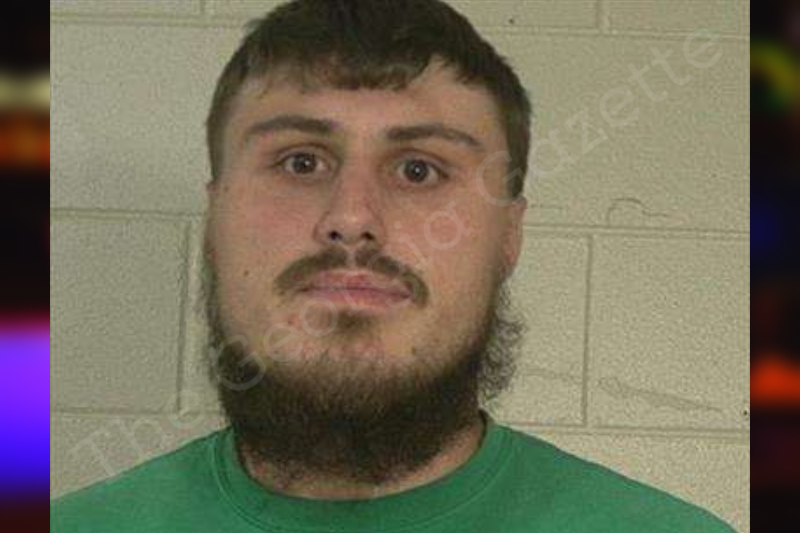 Ryan Dally — Liberty County Jail Bookings