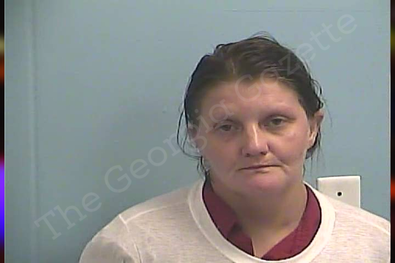 Jessica Dodd — Dawson County Jail Bookings