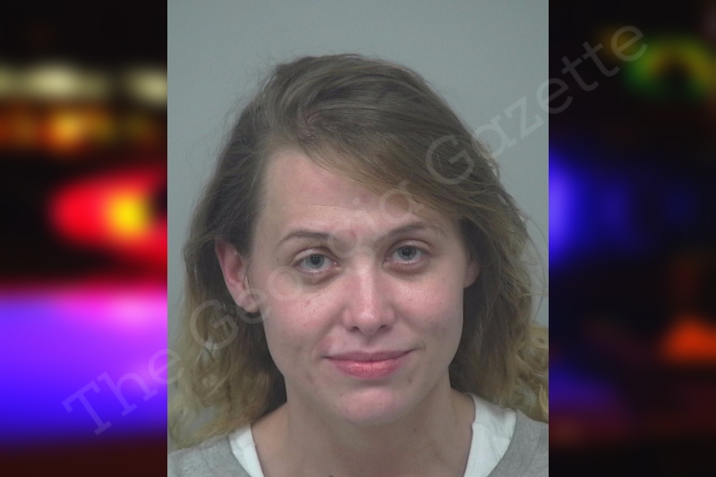 Jessica Downey — Gwinnett County Jail Bookings