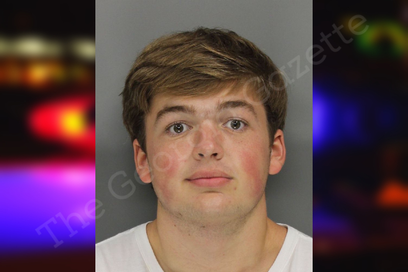 David Heinrich — Cobb County Jail Bookings