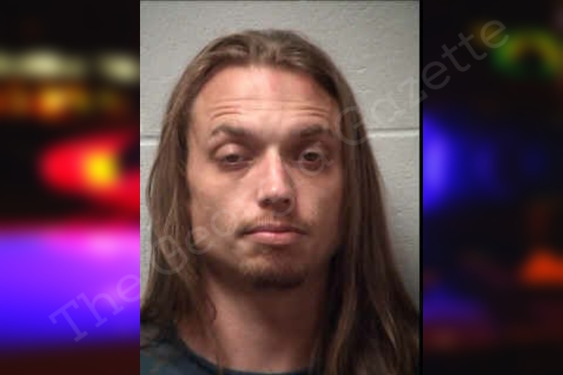 Tyler Dollar — Henry County Jail Bookings