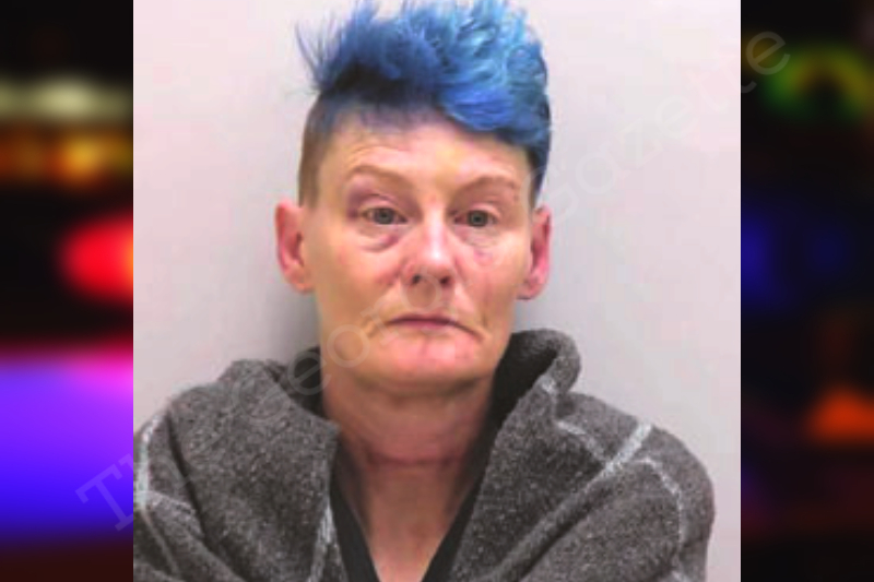 Miranda Evans — Bartow County Jail Bookings