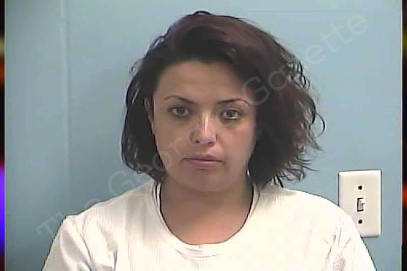 Stephanie Galvan — Dawson County Jail Bookings