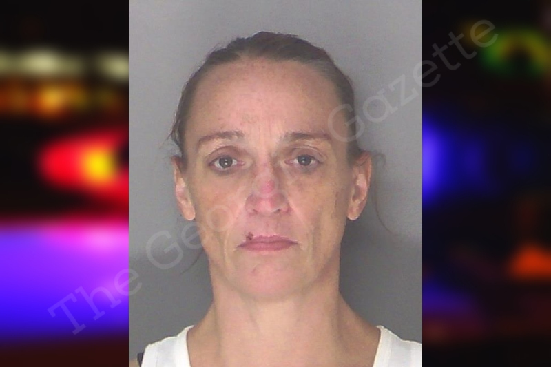 Michelle Godfrey — Douglas County Jail Bookings