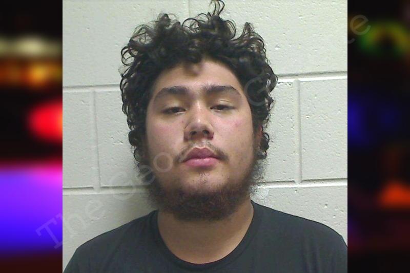 Dimas Guillen — Bulloch County Jail Bookings