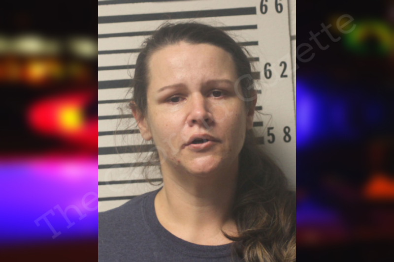 Heather Patrick — Toombs County Jail Bookings