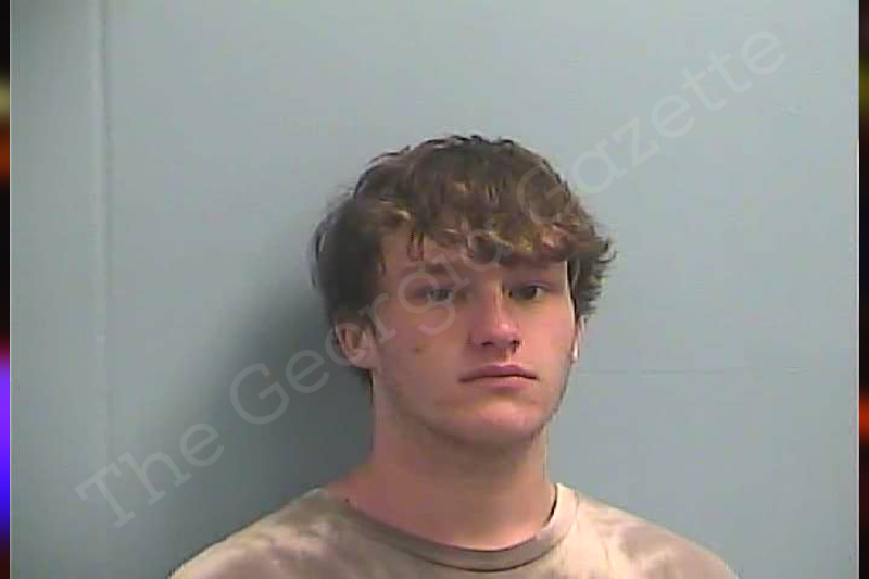 Caleb Ineson — Dawson County Jail Bookings