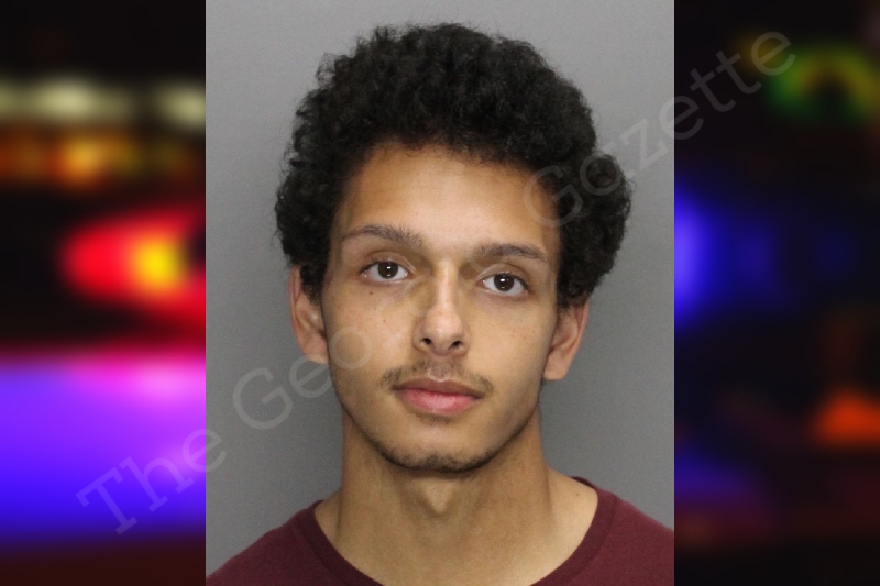 Jonathan Nettleton — Cobb County Jail Bookings