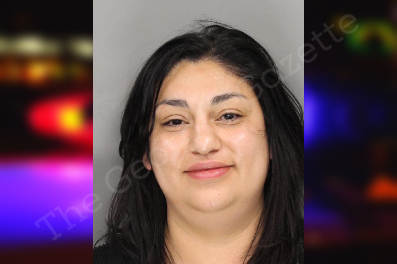 Kristen Stark — Cobb County Jail Bookings