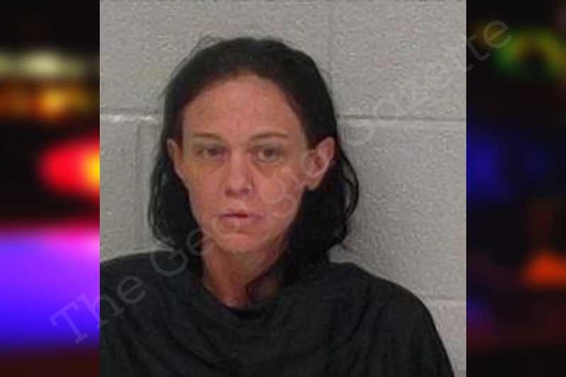 Misty Mcclement — Carroll County Jail Bookings
