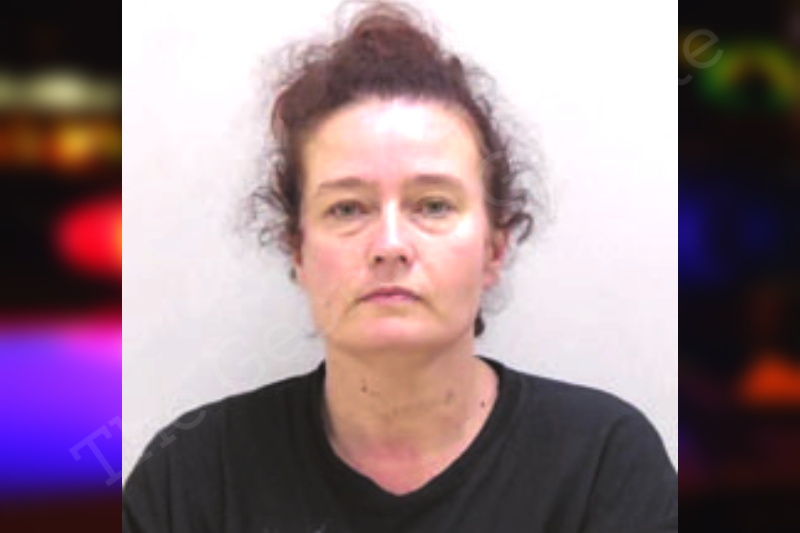 Lisa Mills — Bartow County