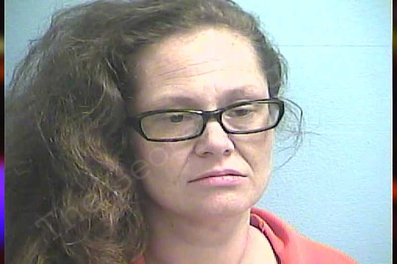 Lisa Mooney — Dawson County Jail Bookings
