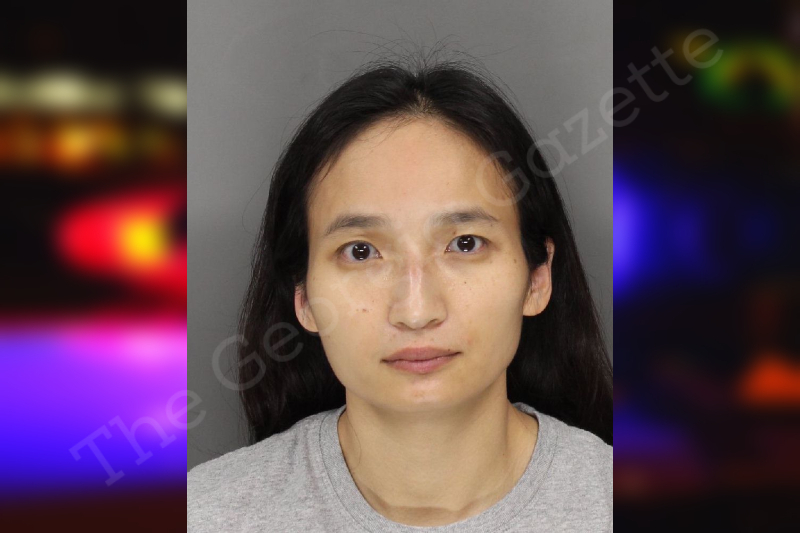 Mei Gao — Cobb County Jail Bookings
