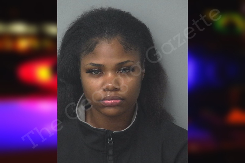 Melanie Neal — Gwinnett County Jail Bookings