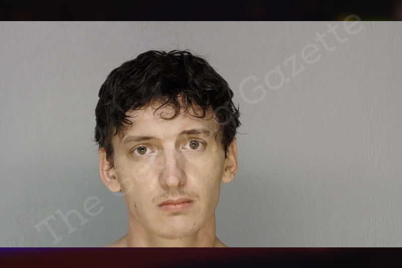 Colby Pinholster — Bibb County Jail Bookings