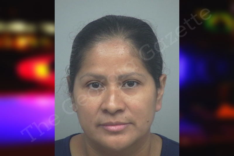 Aydee Ramirez Gonzalez | Gwinnett County