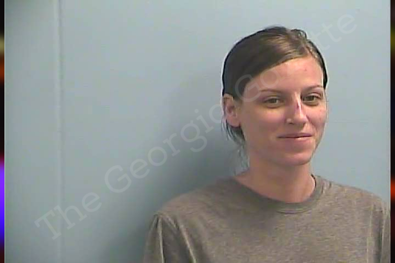 Emily Ryan — Dawson County Jail Bookings