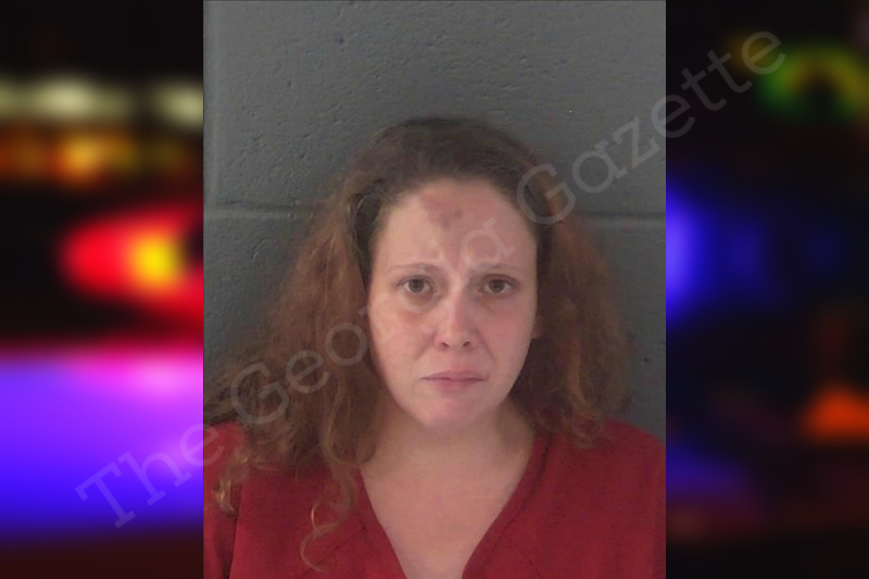 Kimberly Shrouder — Newton County Jail Bookings
