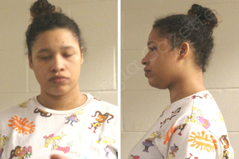 Kayla Storto-Shell — Houston County Jail Bookings