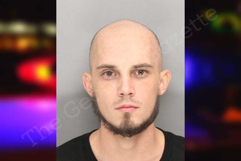 Theodore Morse — Cobb County Jail Bookings