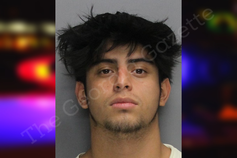 Valente Rangel — Cobb County Jail Bookings