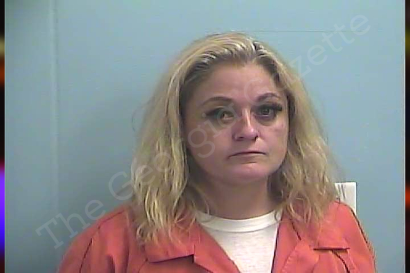 Cynthia Warren — Dawson County Jail Bookings