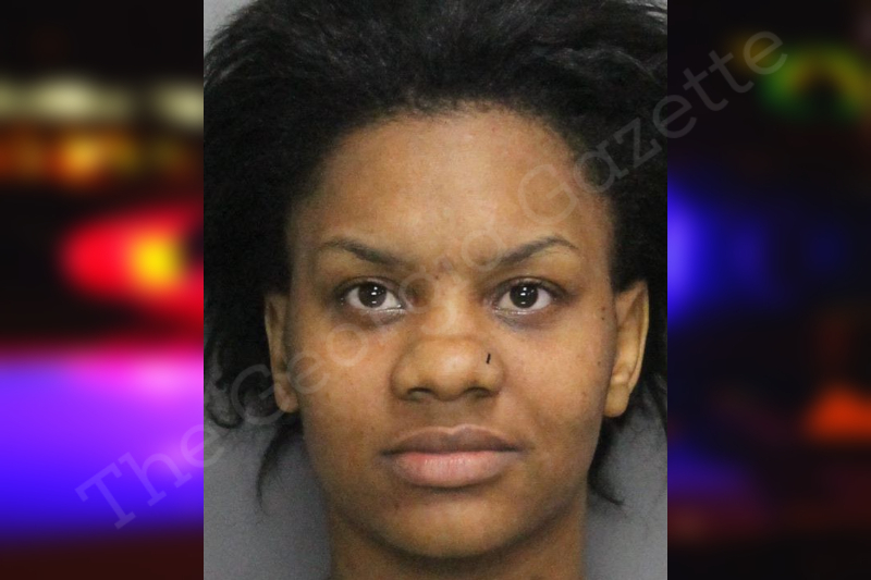 Ashley Smith — Cobb County Jail Bookings