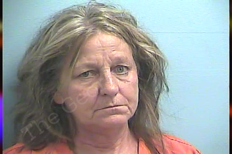 Patricia Bearden — Dawson County Jail Bookings