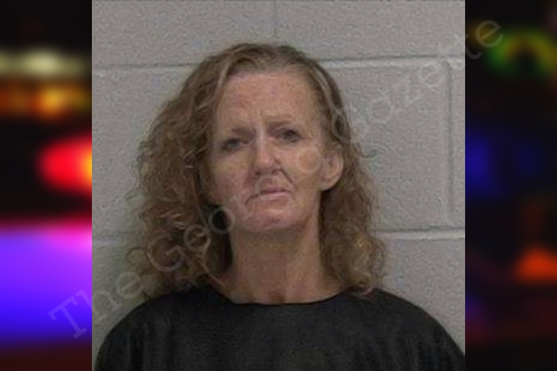 Deborah Bridges — Carroll County Jail Bookings