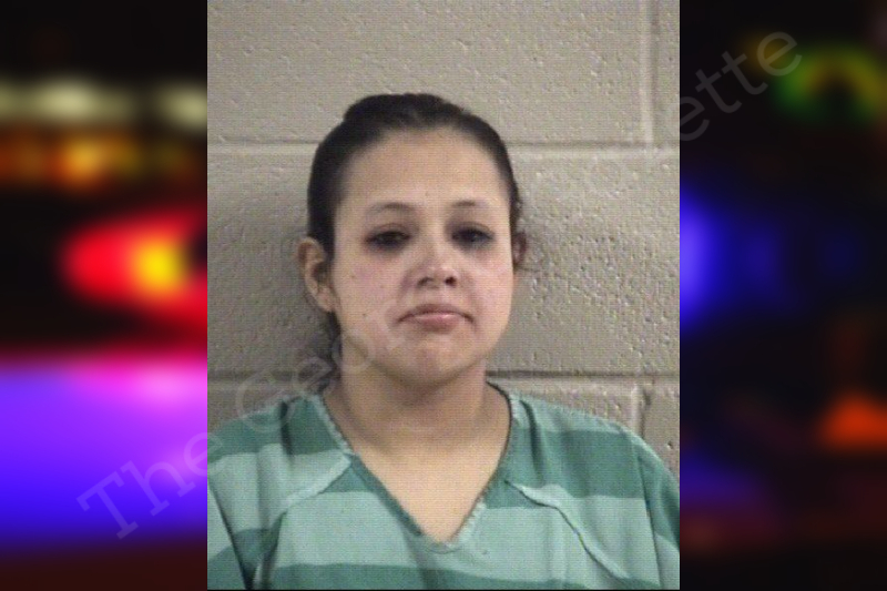 Reina Brito — Whitfield County Jail Bookings