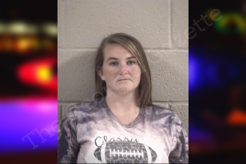 Chelsea Chambers — Whitfield County Jail Bookings