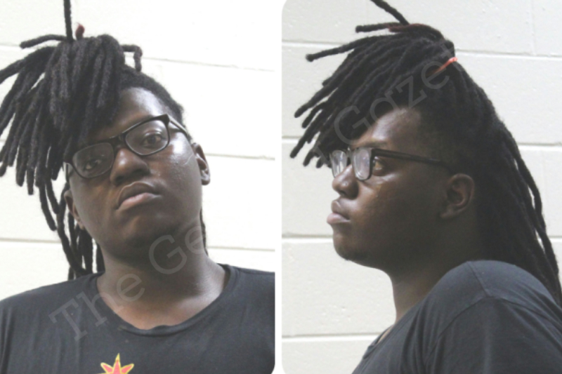 Marcus Collins — Houston County Jail Bookings