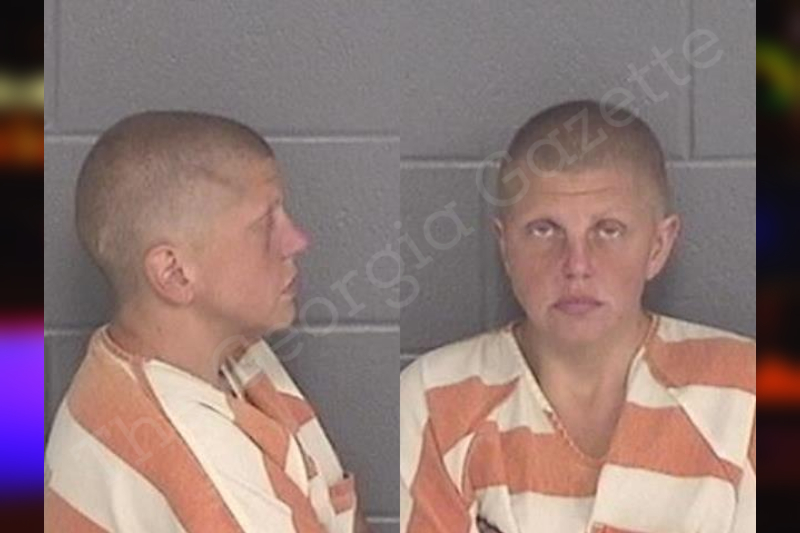 Crystal Cook — Barrow County Jail Bookings