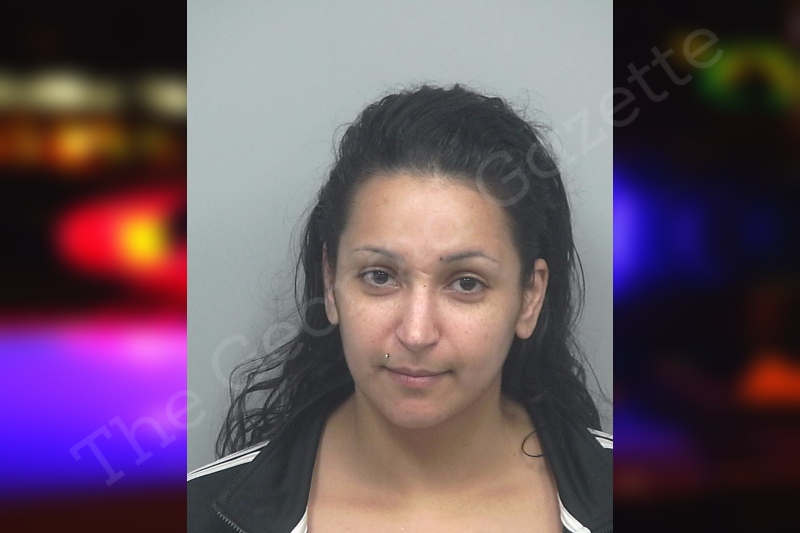 Jacqueline Delgado — Gwinnett County Jail Bookings