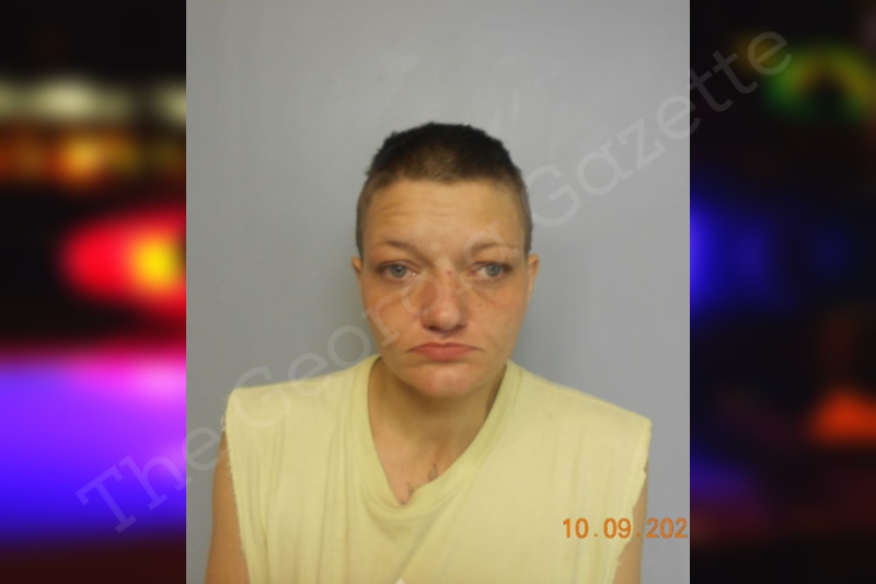 Jennifer Dillard — Hall County Jail Bookings