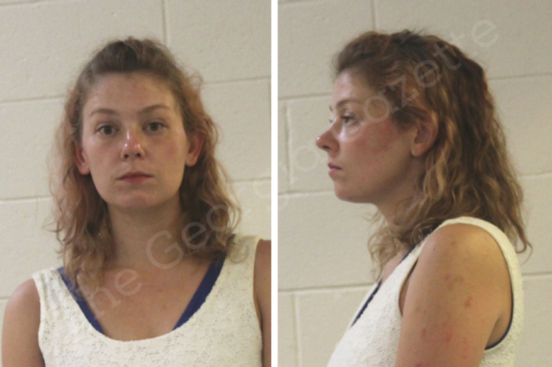 Amanda Drake — Houston County Jail Bookings