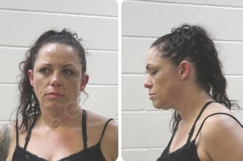 Mariah Dupee — Houston County Jail Bookings