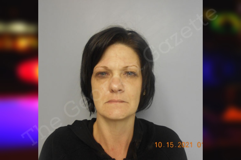 Heather Fowler — Hall County Jail Bookings