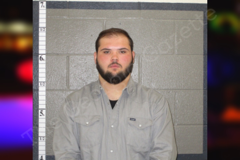 Brandon Ammons — Banks County Jail Bookings