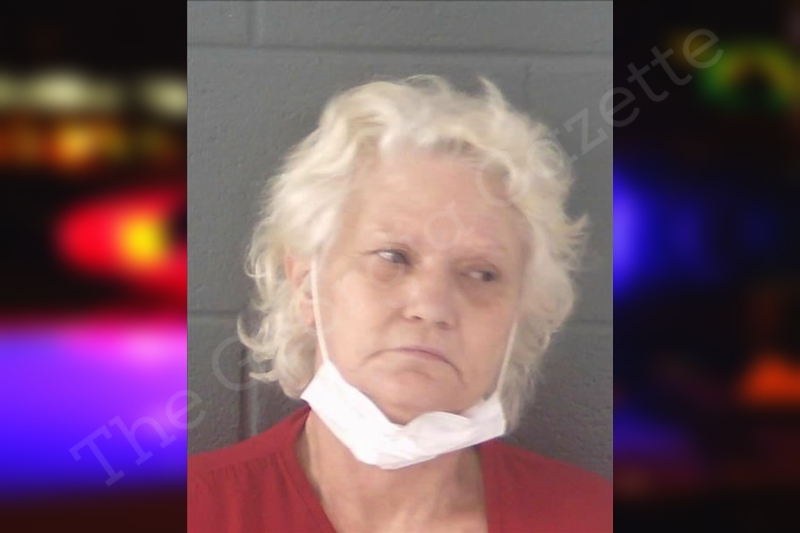 Elizabeth Gilchrist — Newton County Jail Bookings