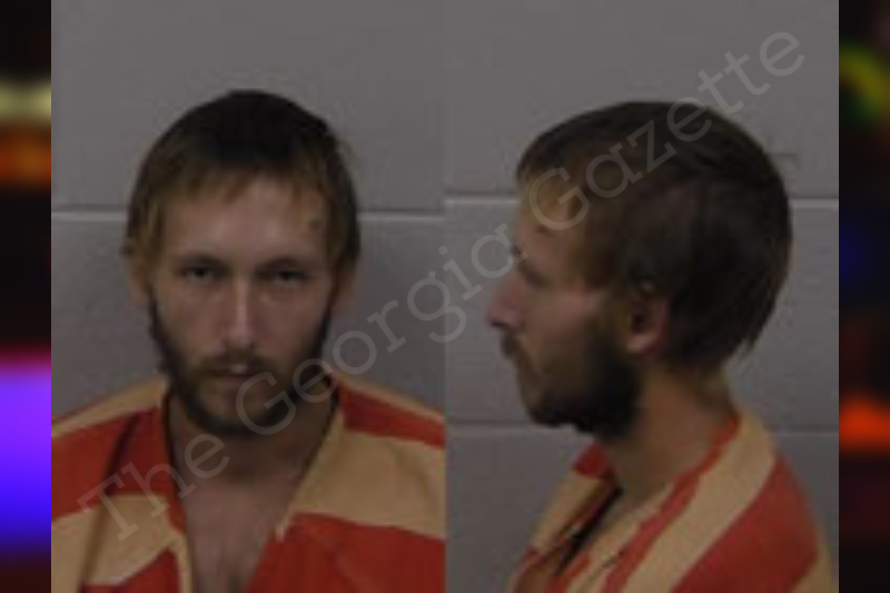 Tyler Garner — Paulding County Jail Bookings