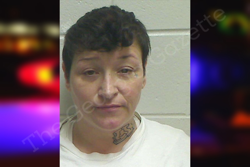 Amanda Harrison — Bulloch County Jail Bookings