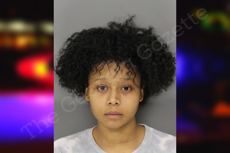 Jasmine Hudson — Cobb County Jail Bookings