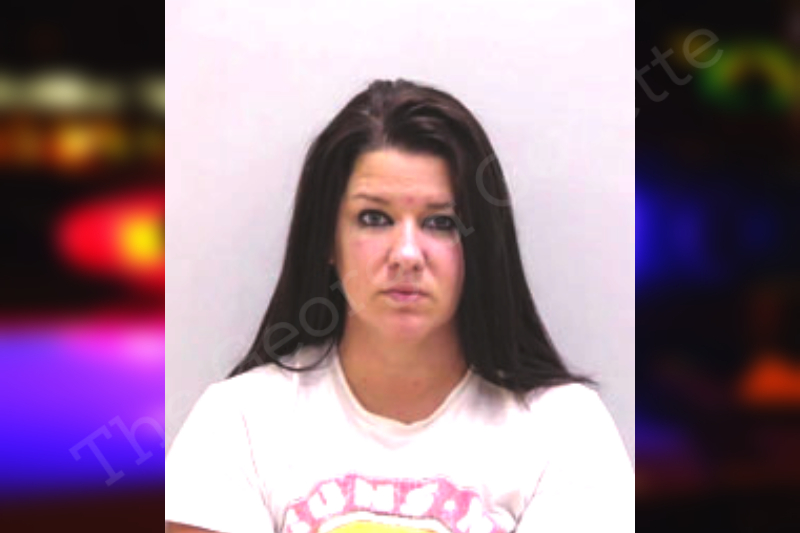 Katherine Keyes — Bartow County Jail Bookings