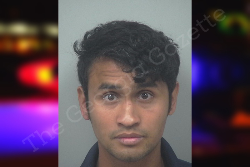 Sebastian Kicklighter — Gwinnett County Jail Bookings