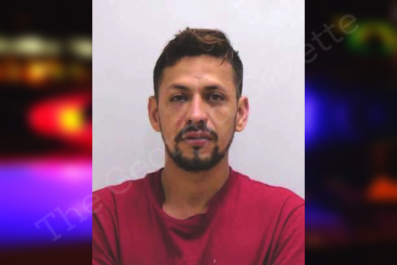 Mainor Lopez-Hernandez — Bartow County Jail Bookings