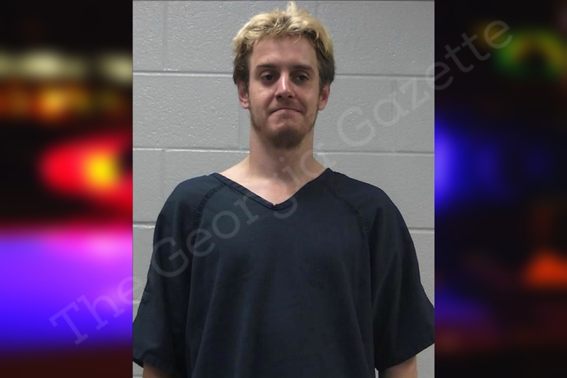 Jeremy Lovell — Gilmer County Jail Bookings