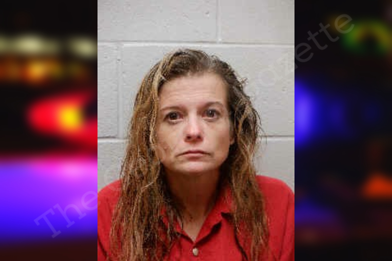 Mindy Larson — Henry County Jail Bookings