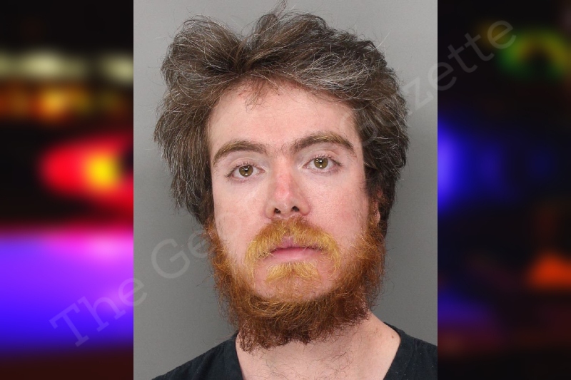 Matthew Epstein — Cobb County Jail Bookings